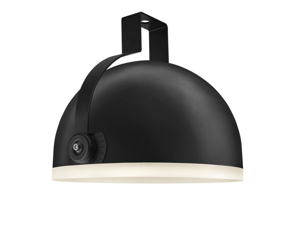 BLACKBIRD Scepter - Vizulo