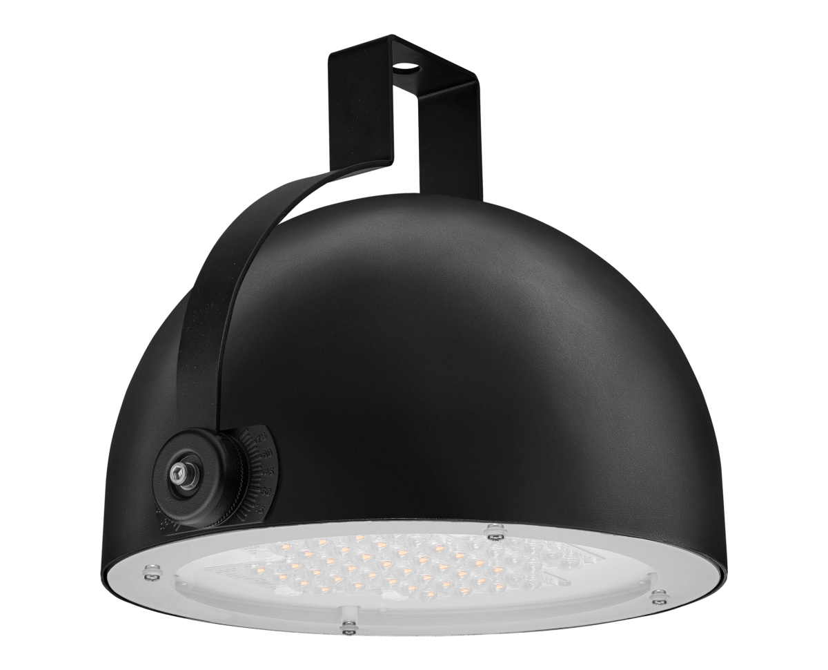 BLACKBIRD Scepter - Vizulo