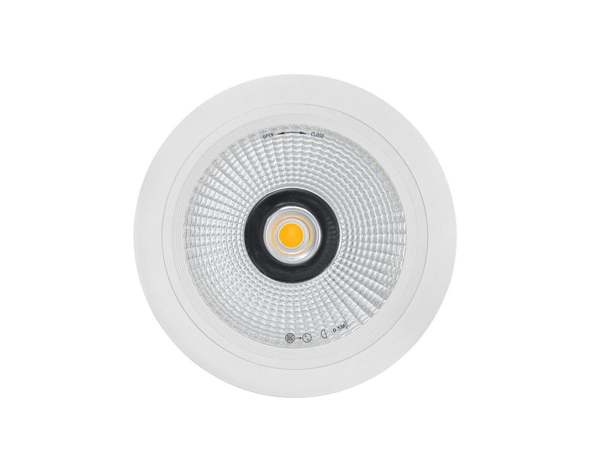 NEST Classic - Vizulo